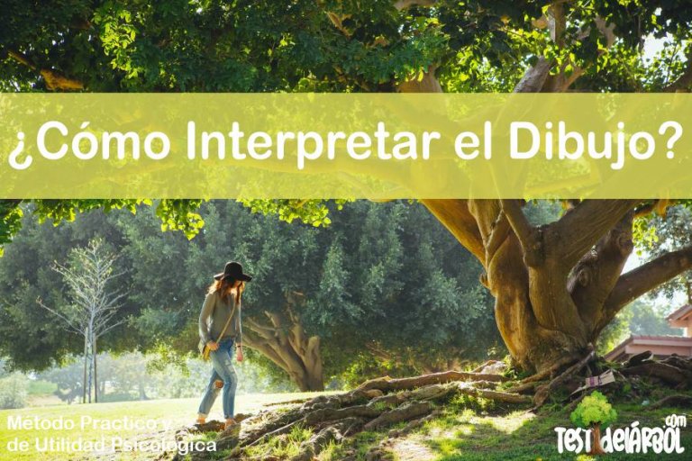 Test Del Árbol Interpretación 🌳 Descubre El Significado