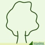 El SIGNIFICADO De La COPA En El TEST Del ÁRBOL 🌳