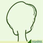 El SIGNIFICADO De La COPA En El TEST Del ÁRBOL 🌳