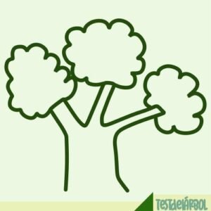 El SIGNIFICADO De La COPA En El TEST Del ÁRBOL 🌳