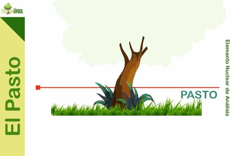 El SIGNIFICADO Del PASTO En El TEST Del ÁRBOL 🌳